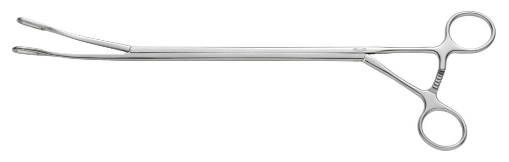 Scanlan Gonzalez rivas dissector fine tip | Icepharma