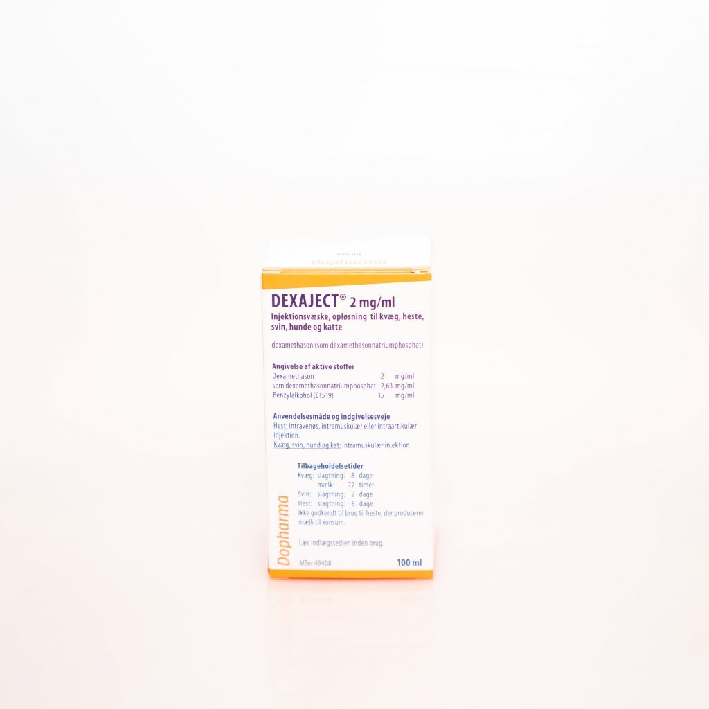 SPASMIUM VET 504 MG/ML STL 100 ML | Icepharma