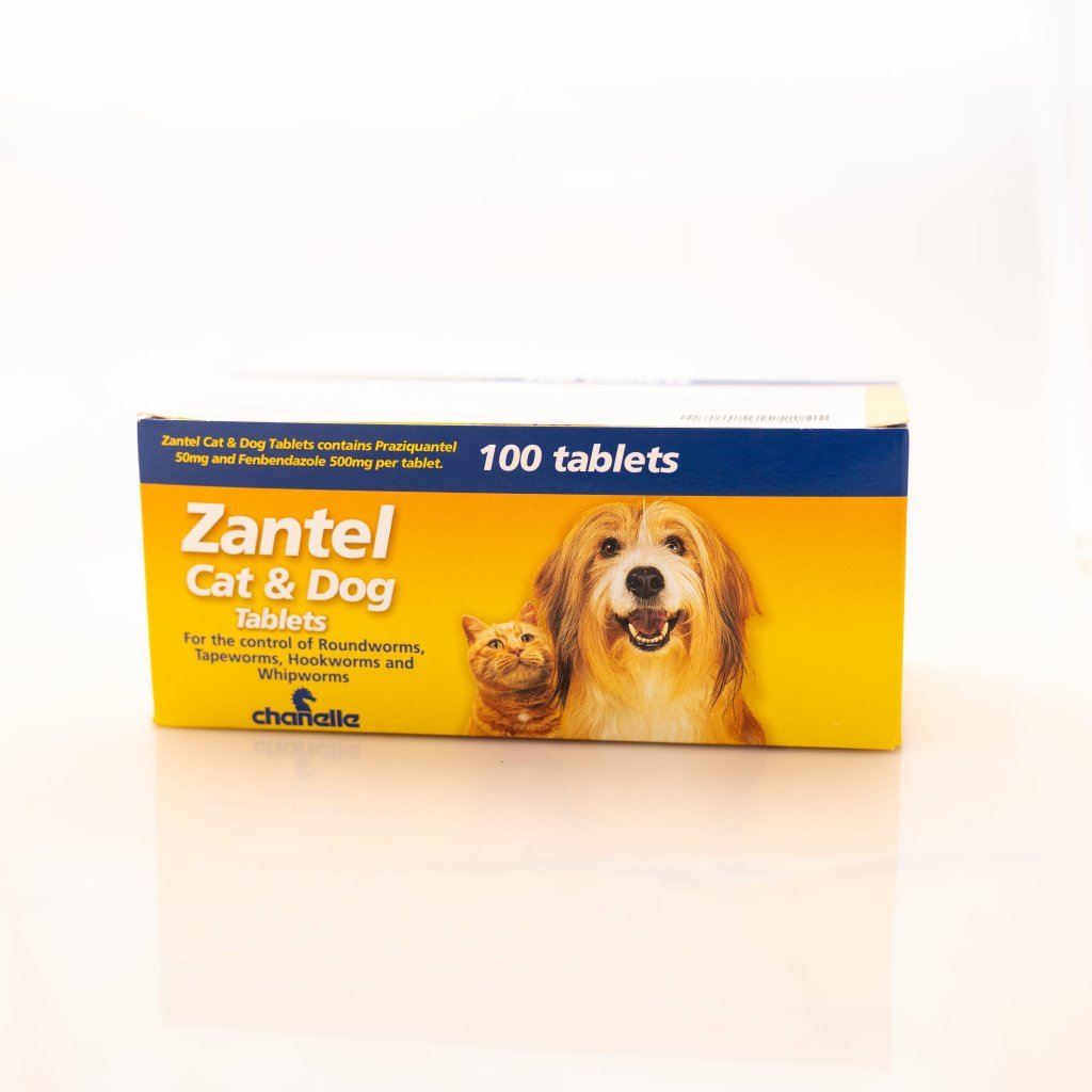 CANIDRYL 100 MG TÖFLUR F.HUNDA 100 STK | Icepharma