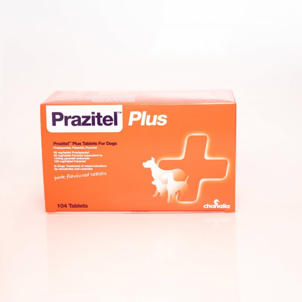 CANIDRYL 100 MG TÖFLUR F.HUNDA 100 STK | Icepharma