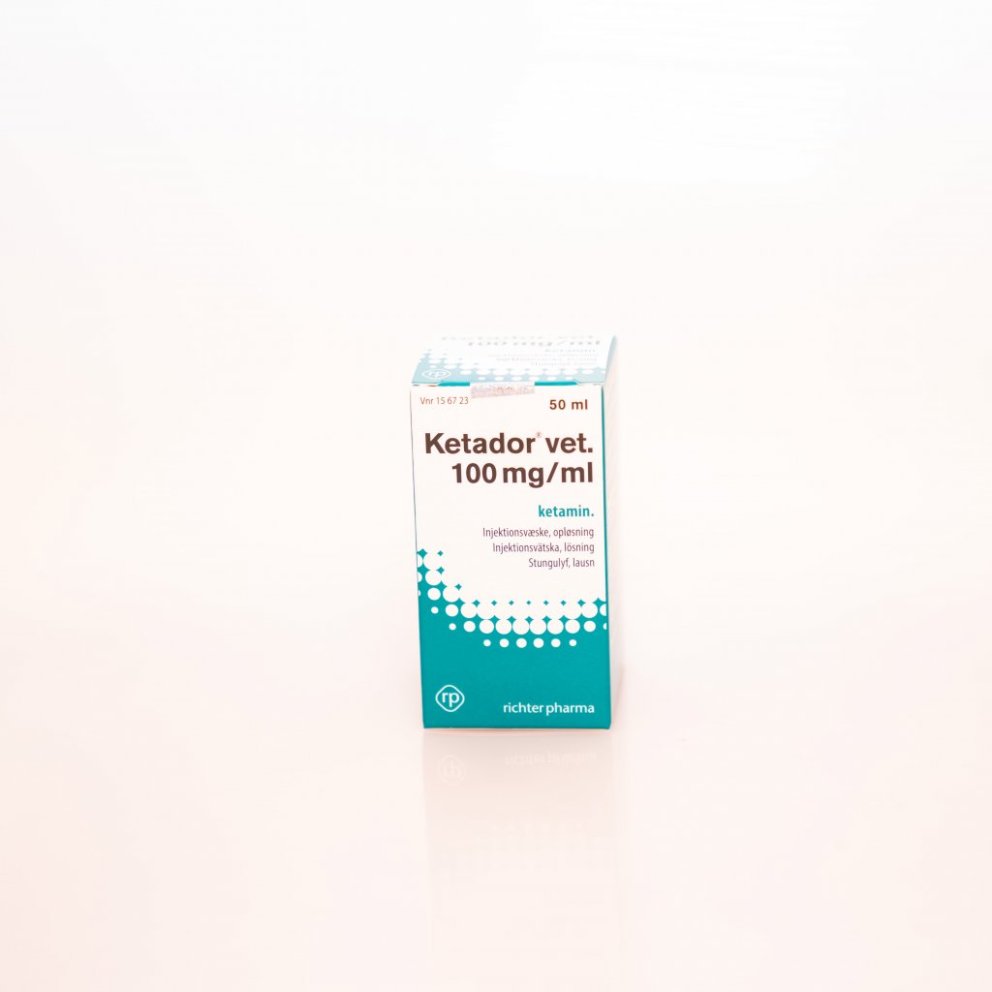 MELOVEM 5 MG/ML 100 ML 1 HGL. | Icepharma