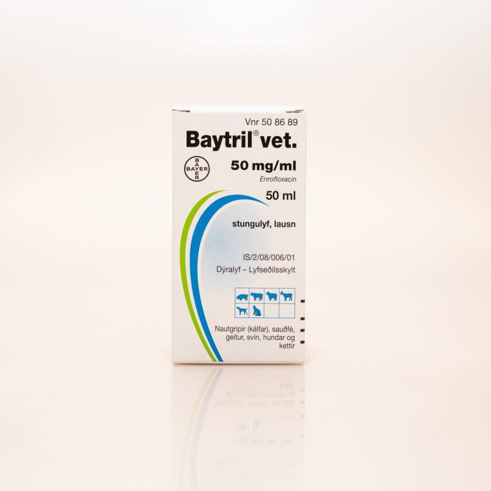 AVIPRO THYMOVAC 10 hgl X 1000 SKAMMTAR. | Icepharma