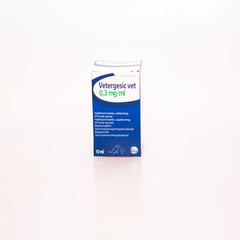 EUTHASOL VET. DECHRA 400 MG/ML 100 ML STL | Icepharma