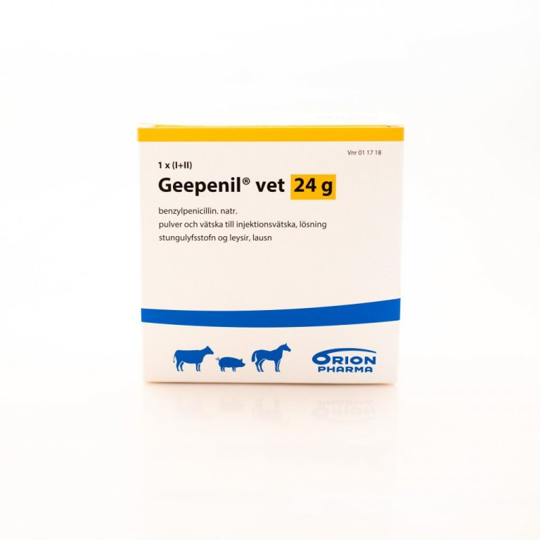 VETERGESIC VET STL 300 MCG/ML 10 ML HGL. | Icepharma